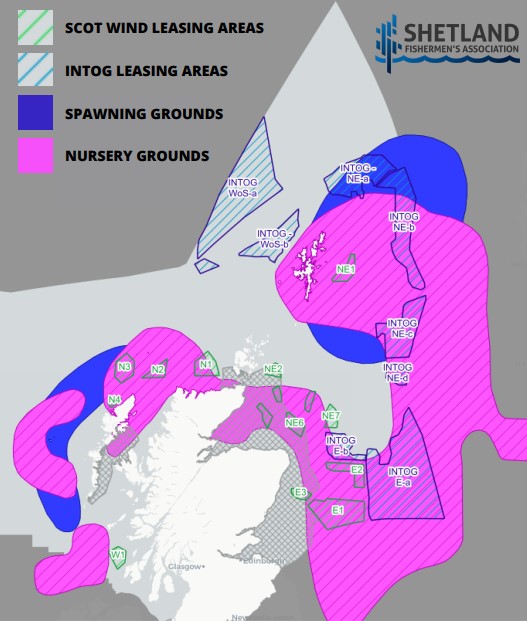 Ministers urged to act now to protect vulnerable fish stocks | The ...